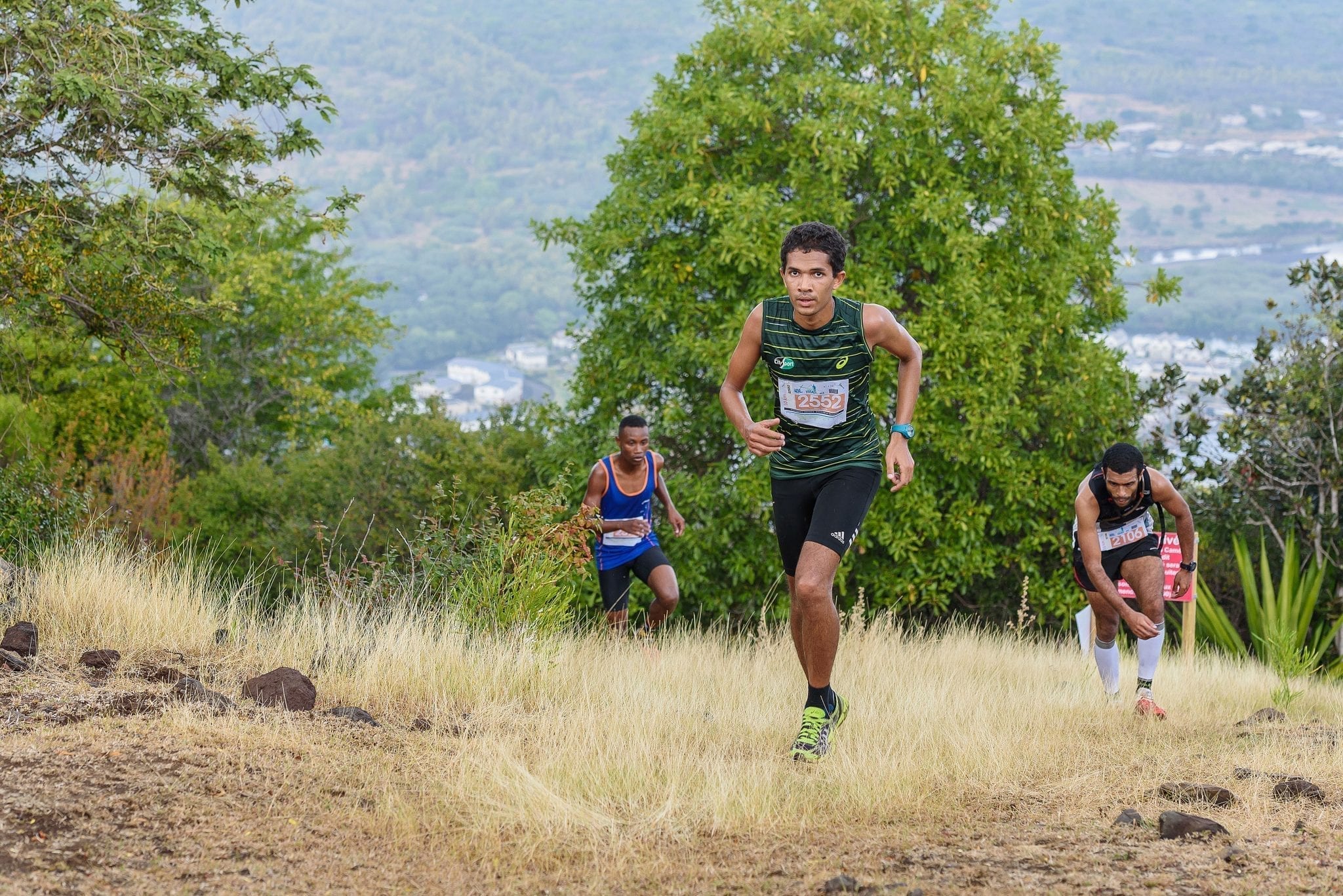 DodoTrail_CKW003 | Dodo Trail