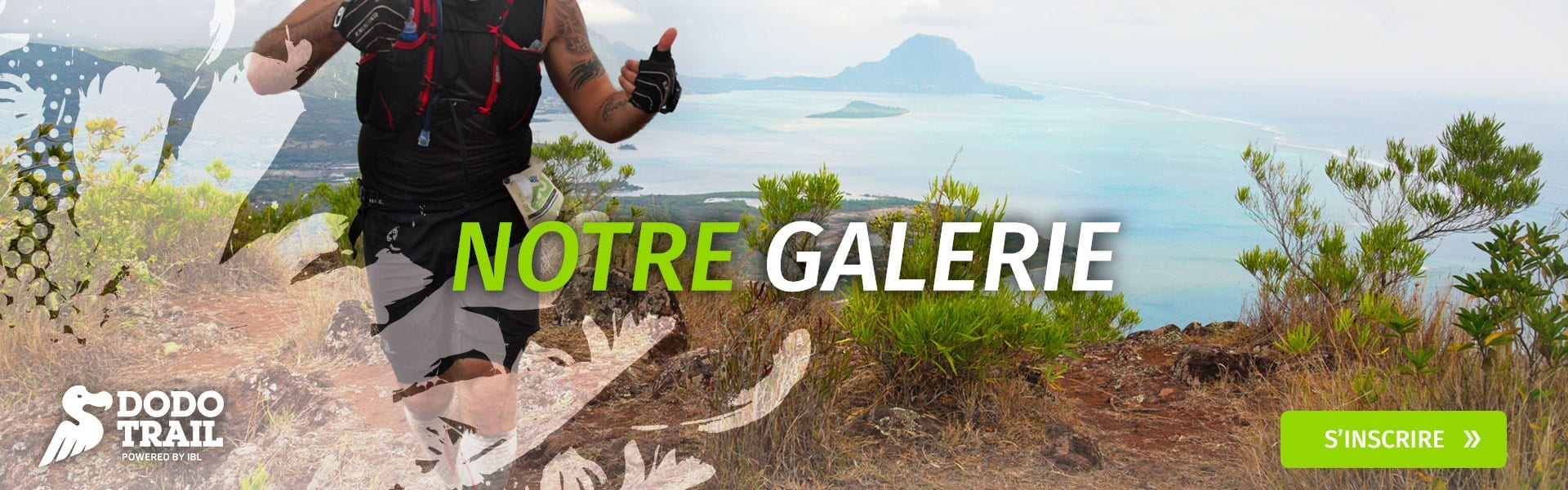 notre-galerie | Dodo Trail