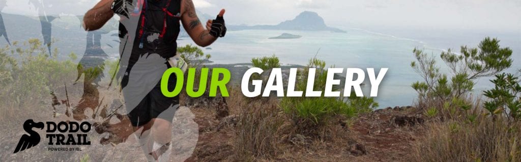 our gallery | Dodo Trail